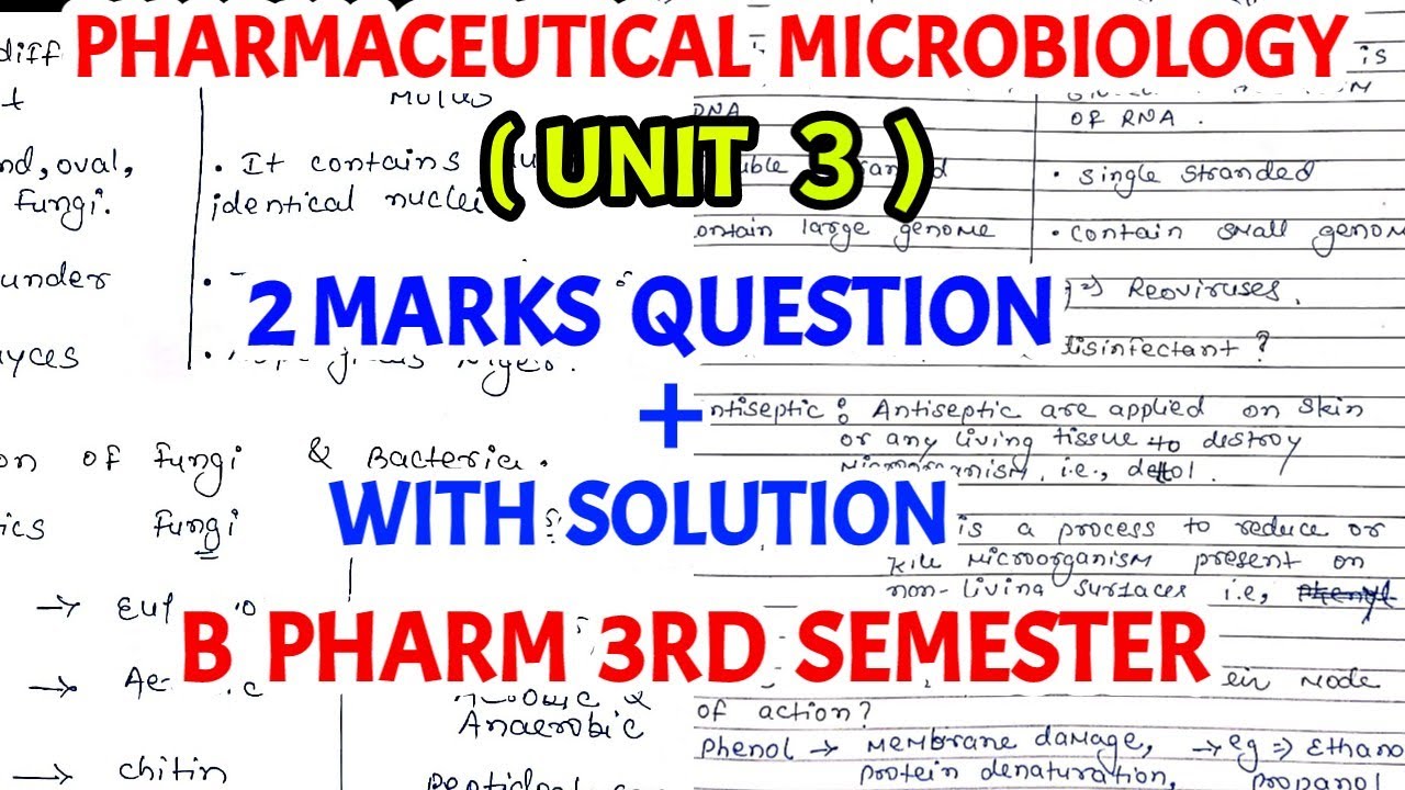 Microbiology 2 marks important question with solution || Microbiology ...