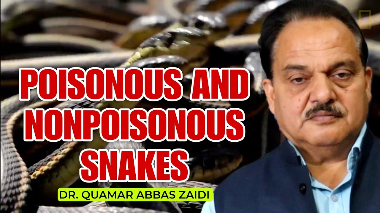 poisonous and nonpoisonous snakes bsc 2nd year ll Dr. Quamar Abbas ...