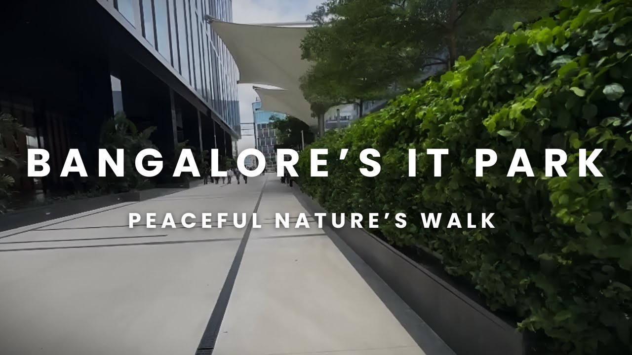 Peaceful Nature Walk in Bangalore's IT Park 🌿 | Calm in the Chaos - YouTube
