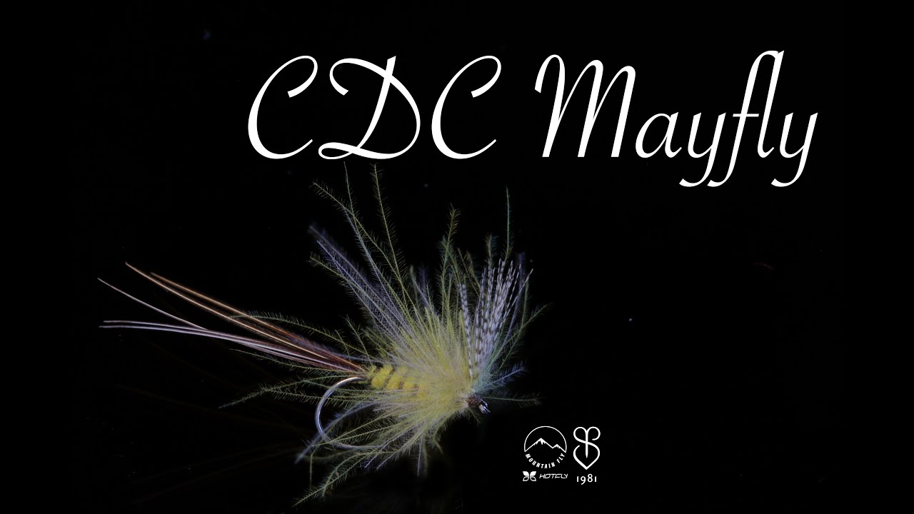 CDC Mayfly - Danica - Fly Tying - Mountainfly Fly Fishing - YouTube