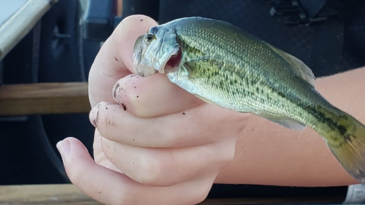 Fishing in Maine | Androscoggin River in the Radisson with the kids ...