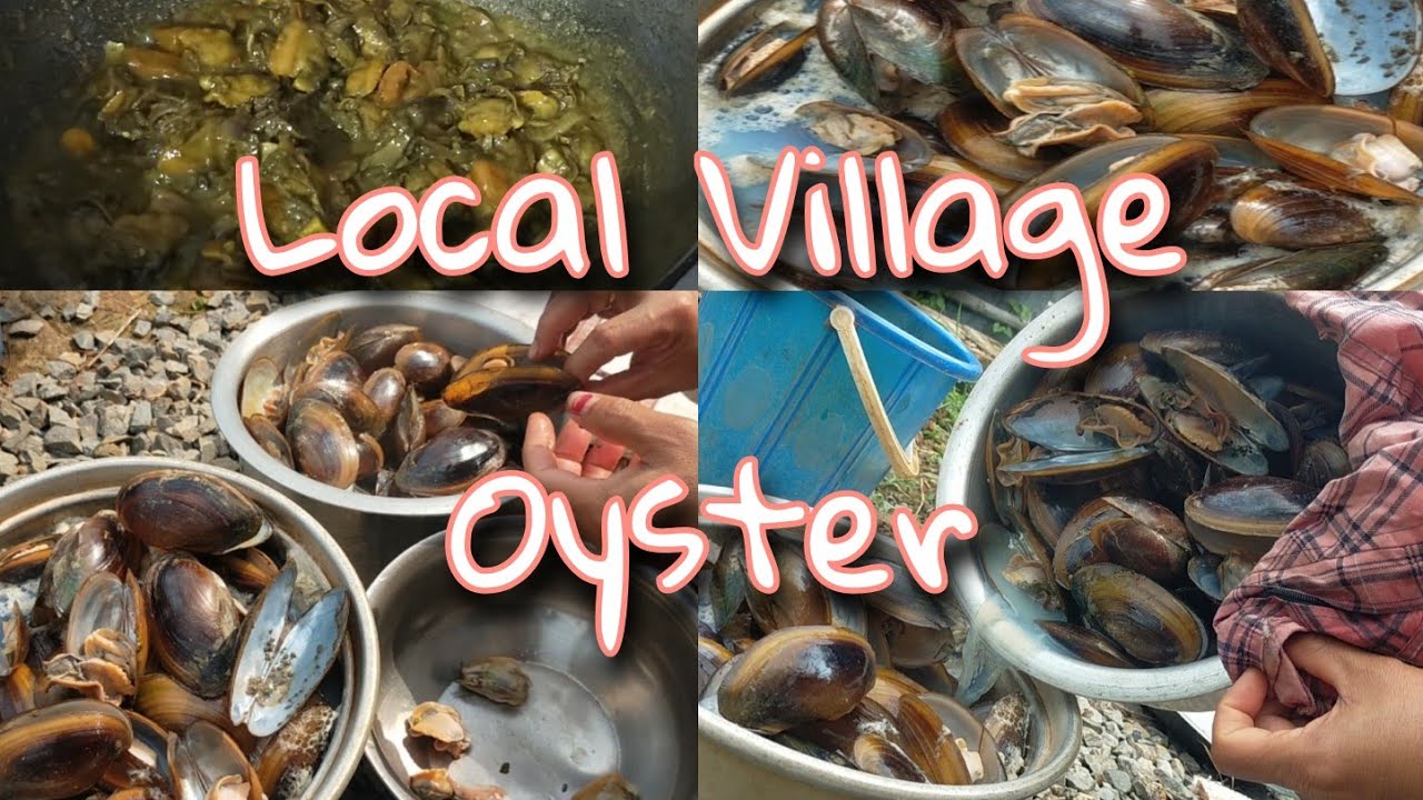 Cooking local Oyster recipe || Village food || - YouTube