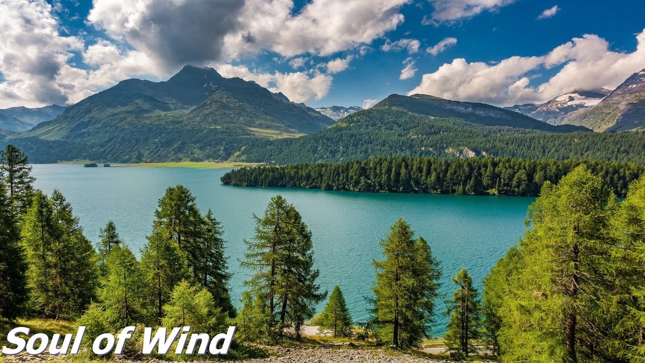 Relaxing Music, Stress Relief Music, Sleep Music, Meditation Music ...