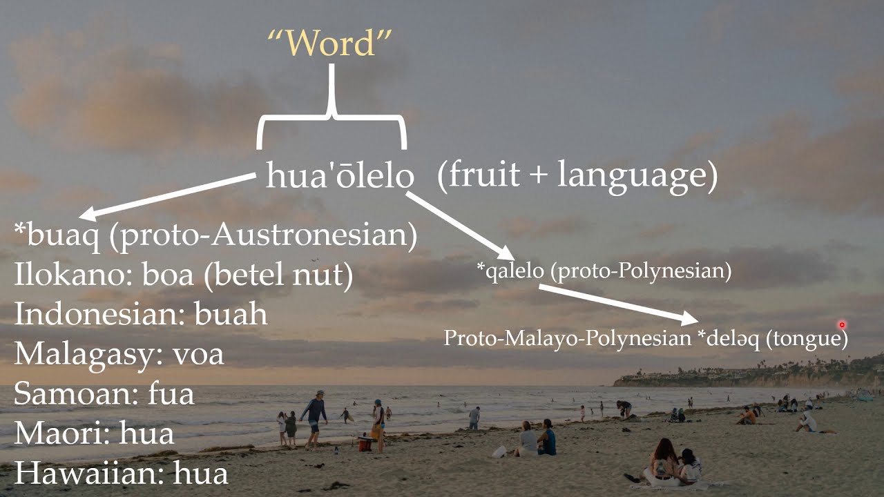 Comparisons between Hawaiian and other Austronesian languages PART 1 ...
