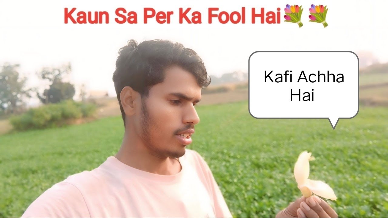 Kaun Sa Per Ka Fool Hai 💐💐//Vimlesh Vlogs - YouTube