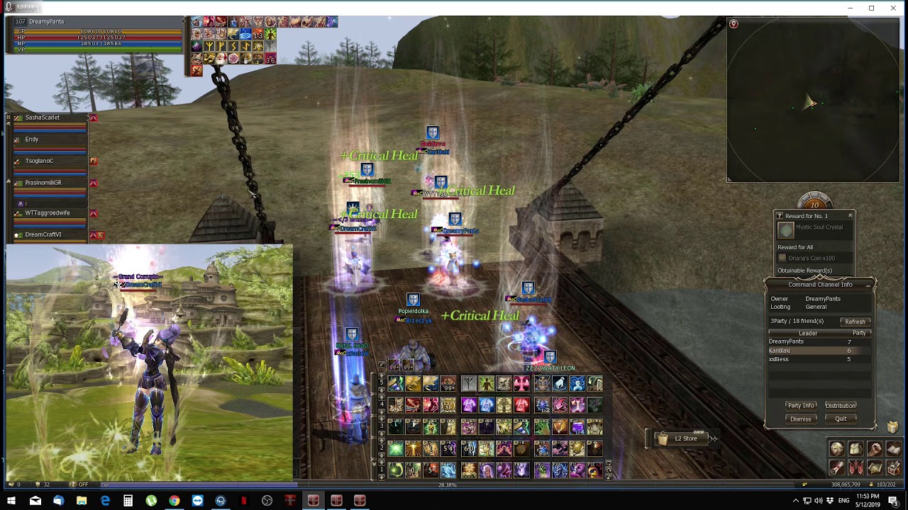 Lineage 2 - Naia Siege - 12-05-2019 - Healer PoV - YouTube
