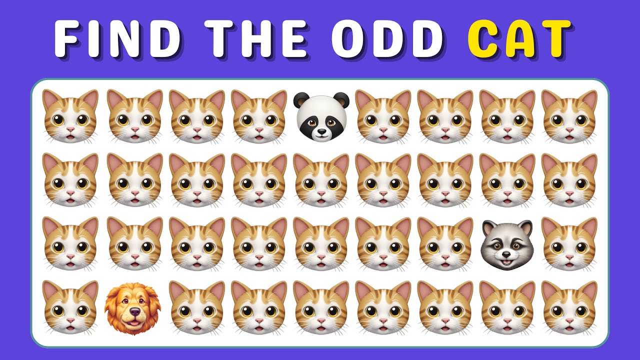 Find the ODD One Out - Animals Edition 🐵🐶🐼 Easy, Medium, Hard - 30 ...
