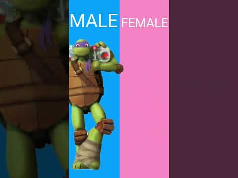 Genderswap edit #shorts  Teenage Mutant Ninja Turtles