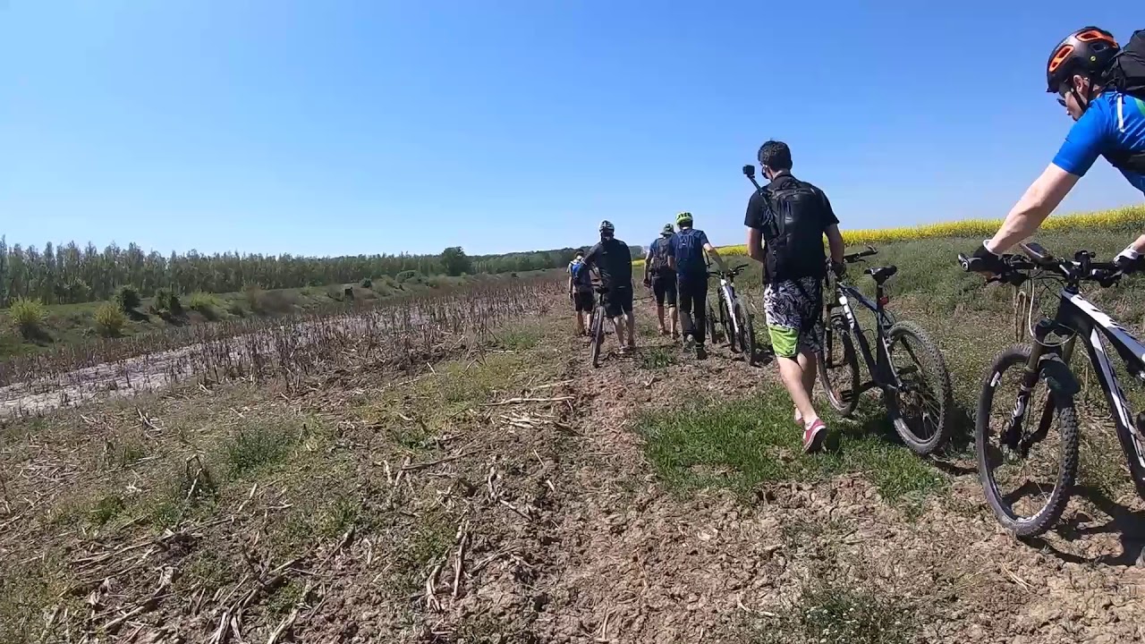 Lunca Dunarii pe Bicicleta - YouTube