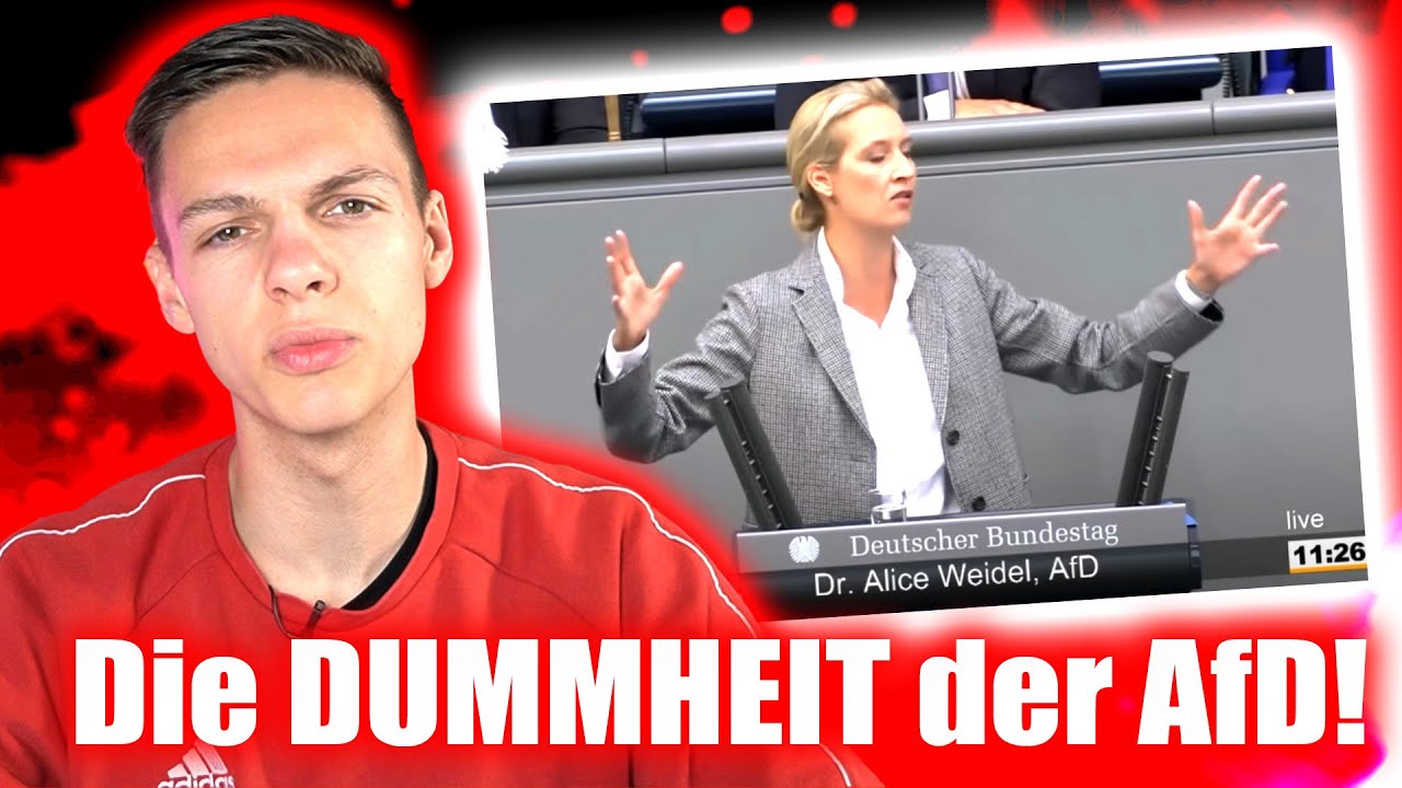 Die DÜMMSTEN SPRÜCHE der AfD im Bundestag! (Achtung: Es tut weh!) - YouTube