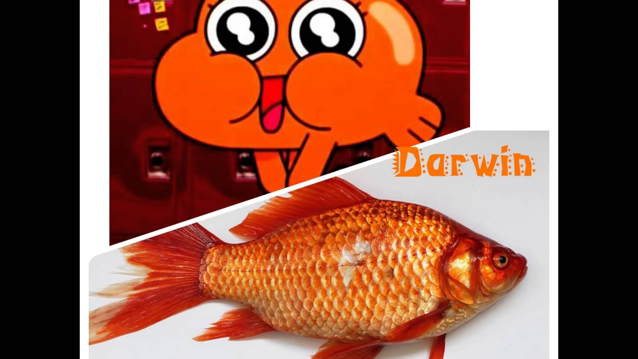 If The Amazing World of Gumball characters were realistic!!! - YouTube