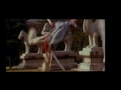 Wonderman From Shaolin