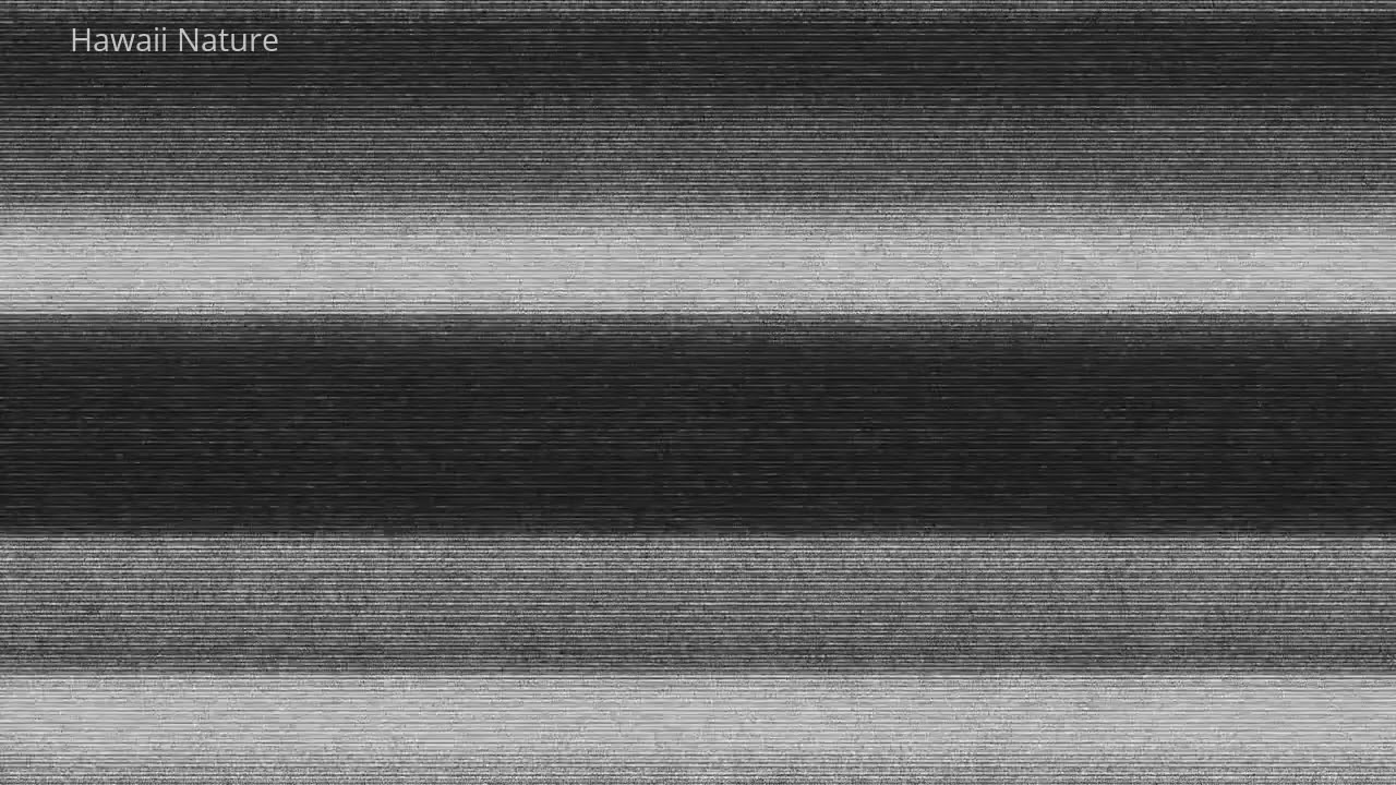 TV STATIC NOISE (Snow Screen) - Mask External Sounds - Study Sleep ...