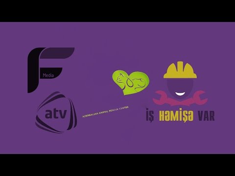 İş Həmişə Var - Azerbaijan Animal Rescue Center (AARC)