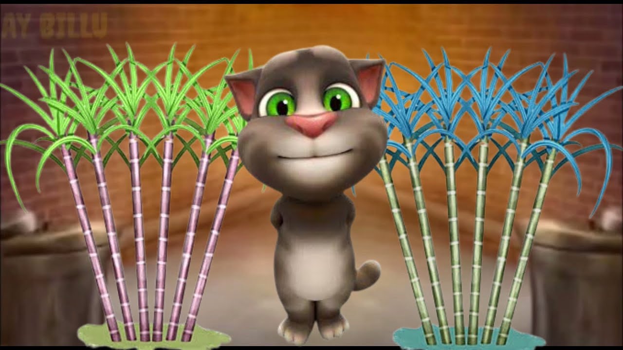 billu funny cat video billu ki ekadashi ganna November 7, 2022 - YouTube