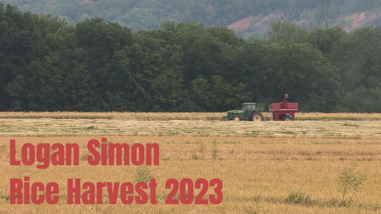 Logan Simon | Rice Harvest 2023 - YouTube