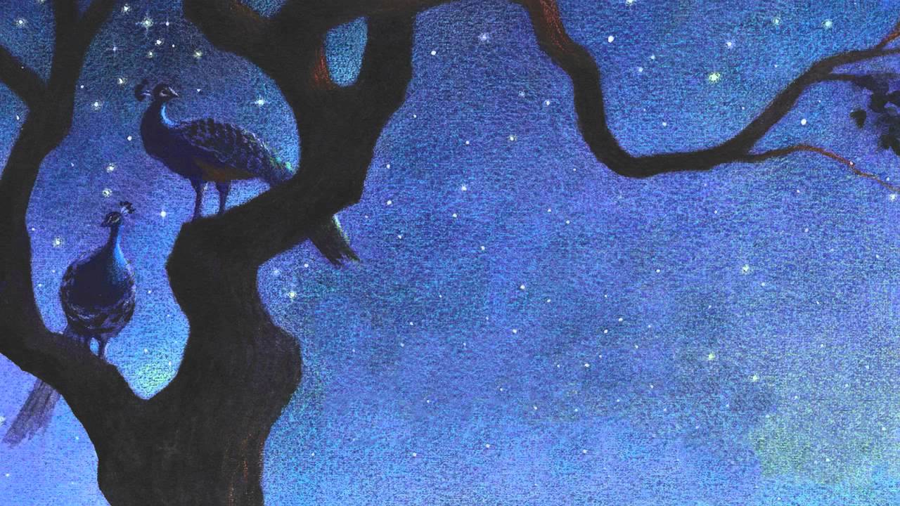 Kepler's Dream Book Trailer - YouTube