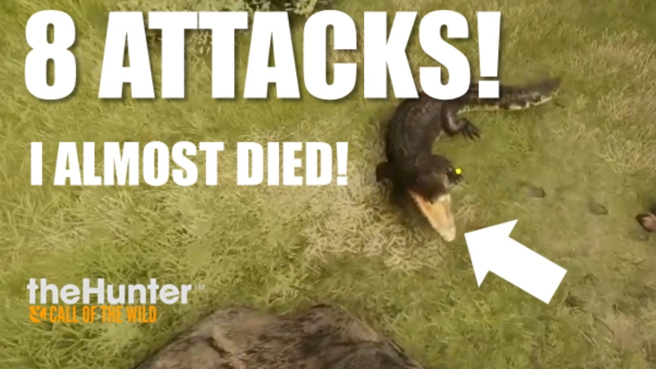 One Mythical Hunt ... EIGHT ATTACKS! - YouTube
