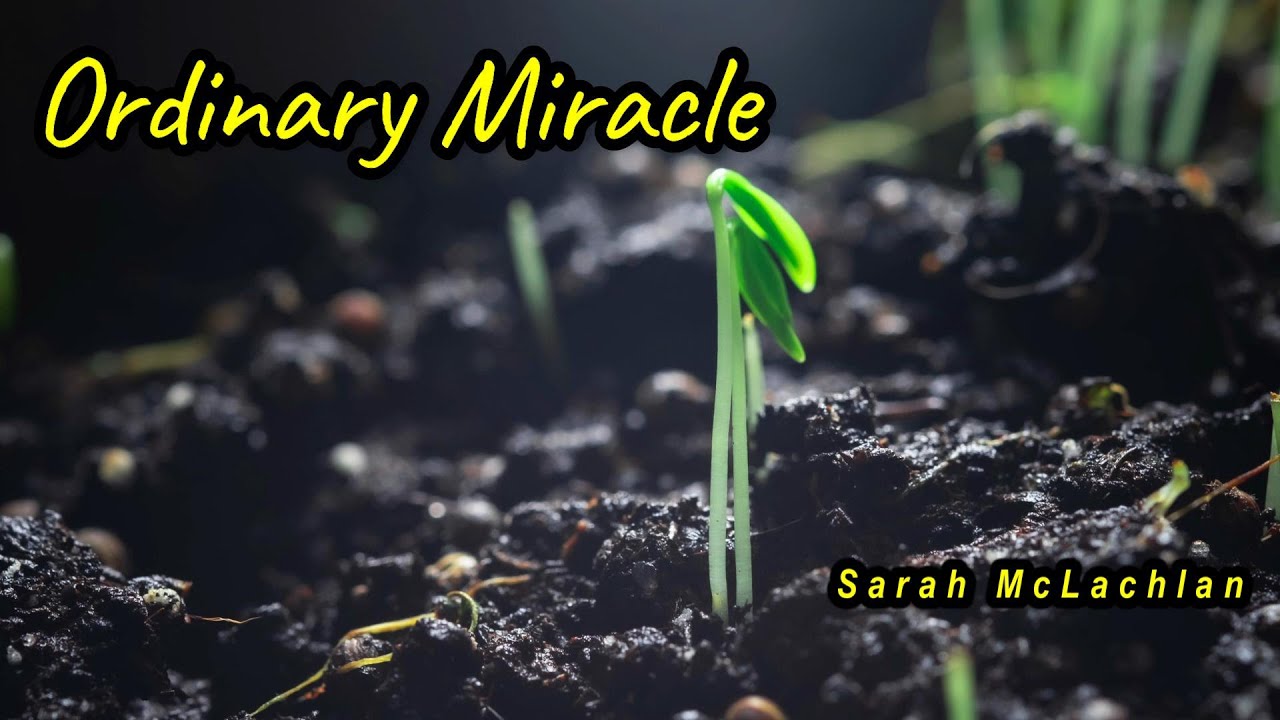 Ordinary Miracle - YouTube