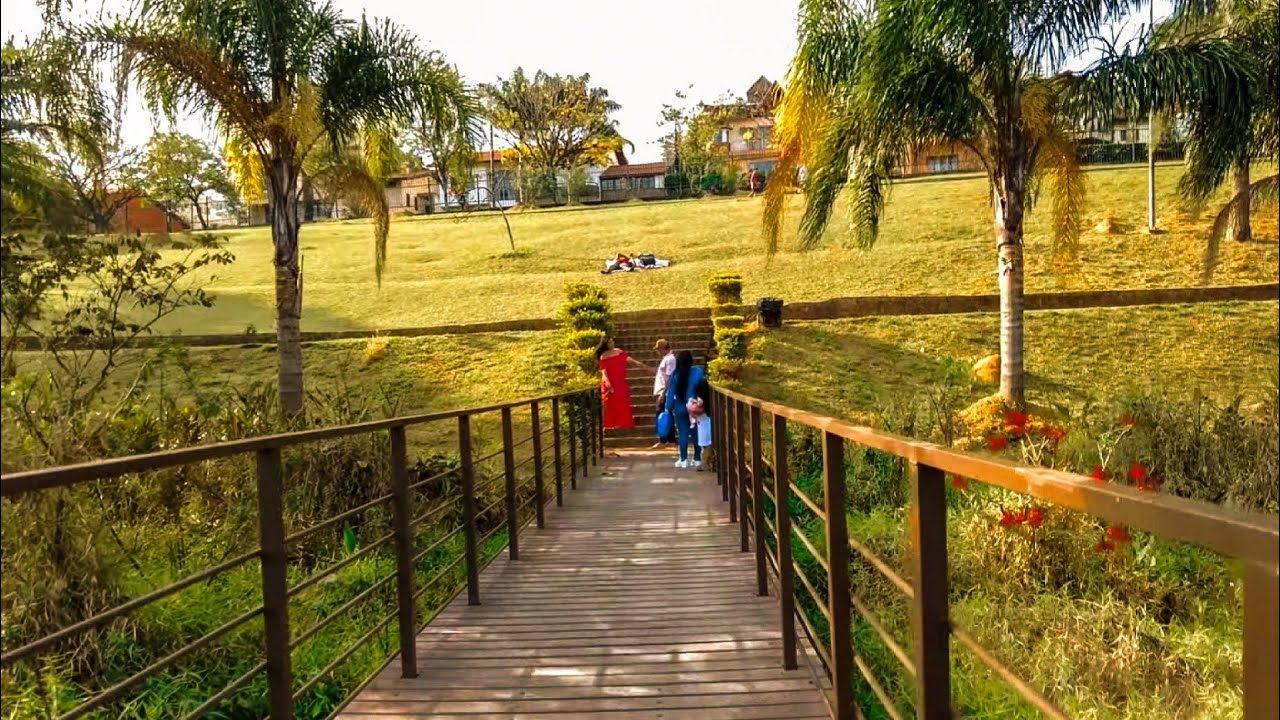 Caminhada pelo Parque Cidade de Toronto em São Paulo - YouTube