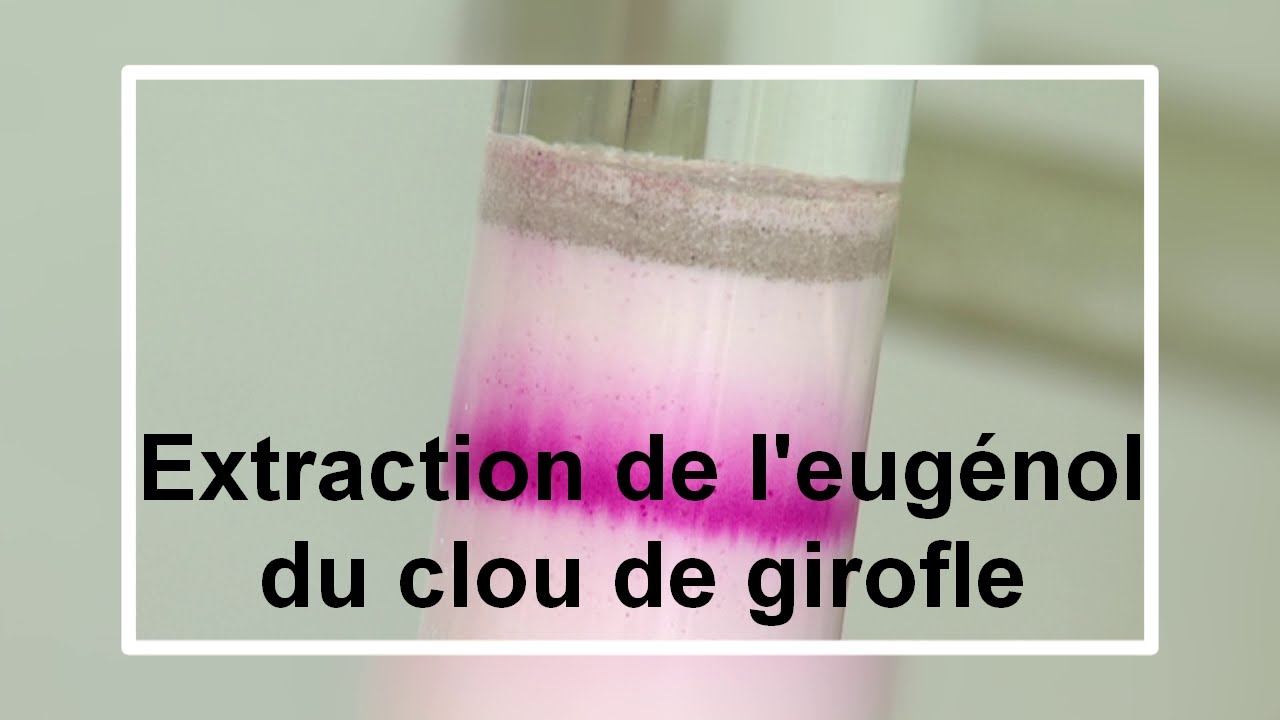 Extraction de l'eugénol du clou de girofle - YouTube