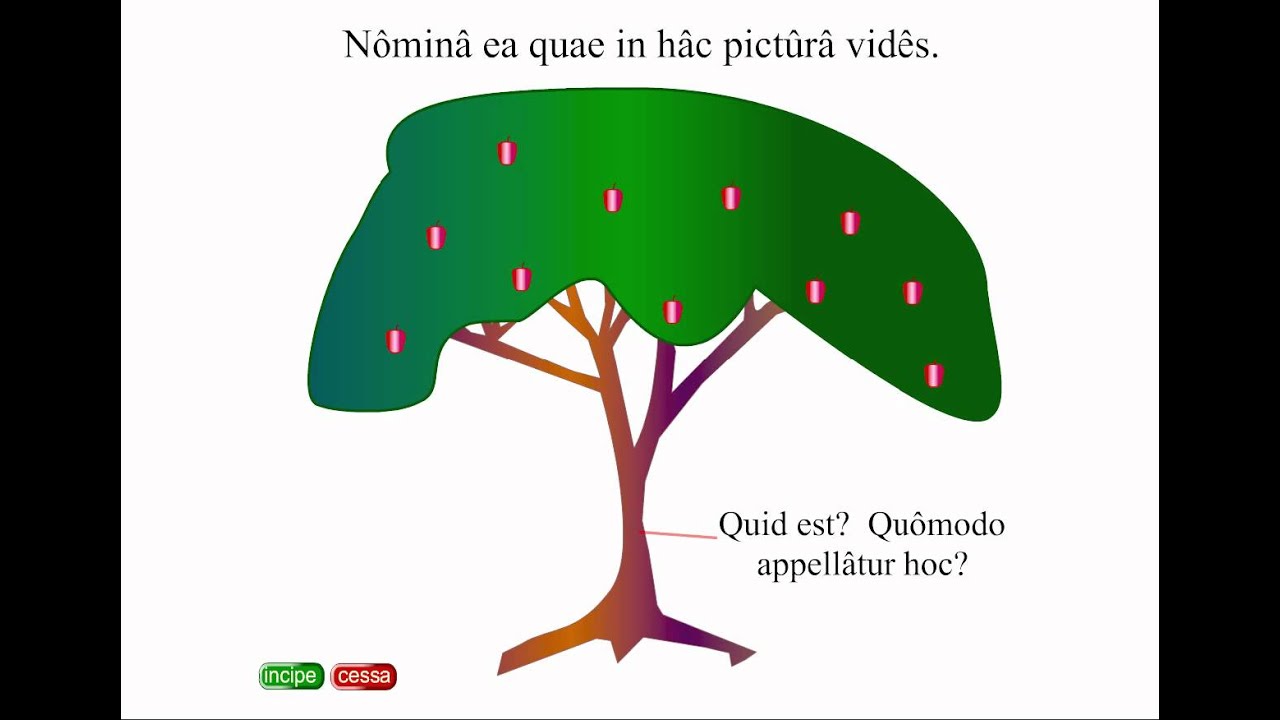 Claude Pavur's Arbor A Tree Latin Lesson - YouTube