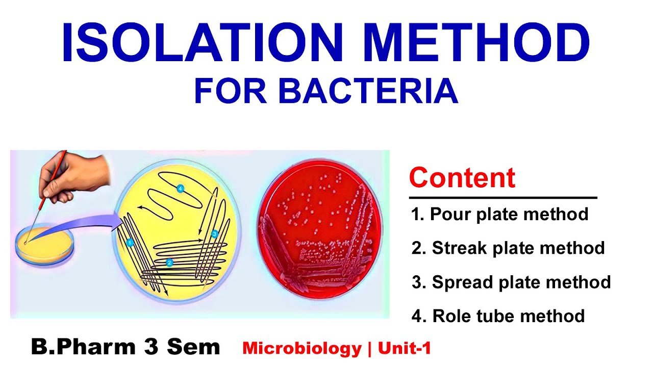ISOLATION METHODS FOR MICROBES | MICROBIOLOGY | UNIT-1 - YouTube