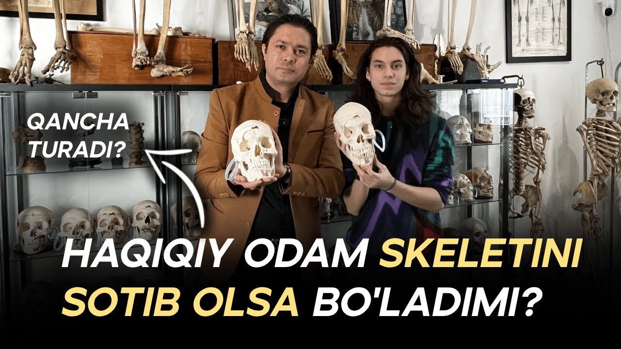 Odam Skeleti Sotiladigan O’ta Noyob Do’konga Sayohat!!!!!! - YouTube