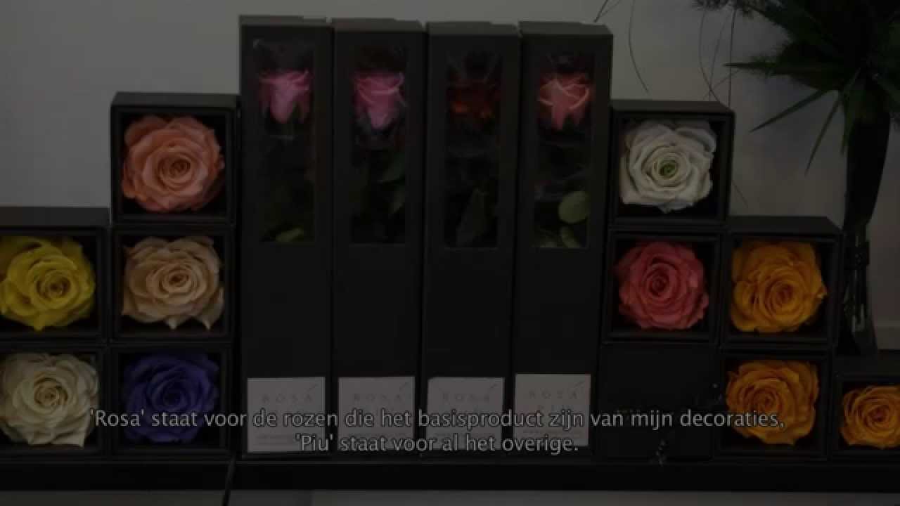 Concetta Spitaleri - YouTube