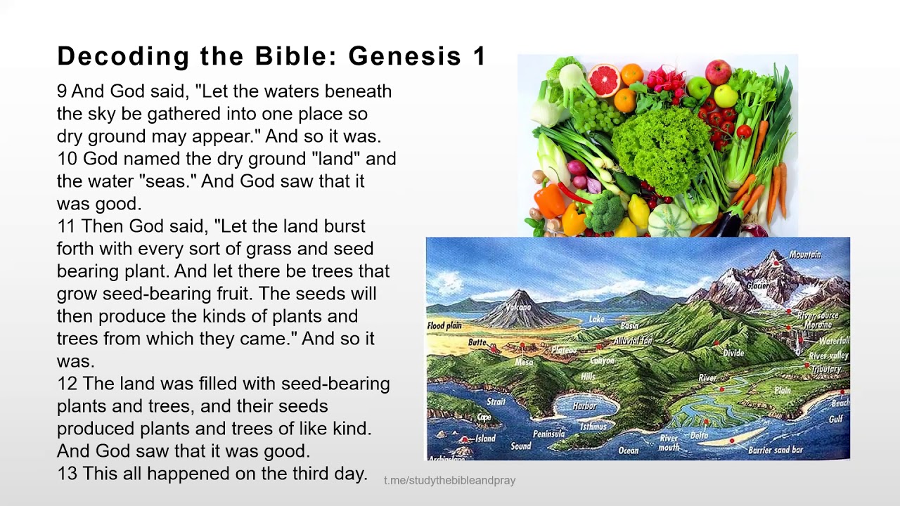 Genesis 1 Bible Study Online Course - YouTube