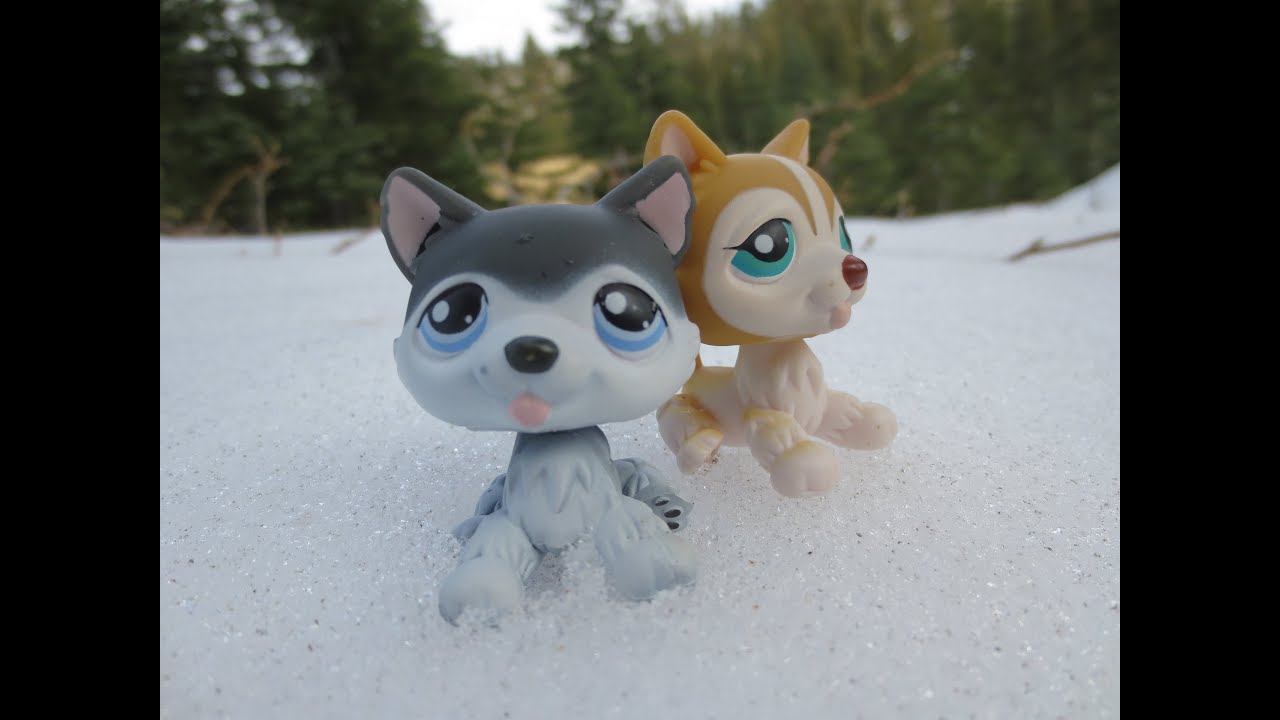 LPS: Wolves Ignite: Episode 1: Think Before You Dream - YouTube