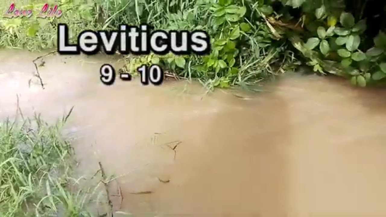 Israelites' Required Sin-offerings || Net Audio Bible - YouTube