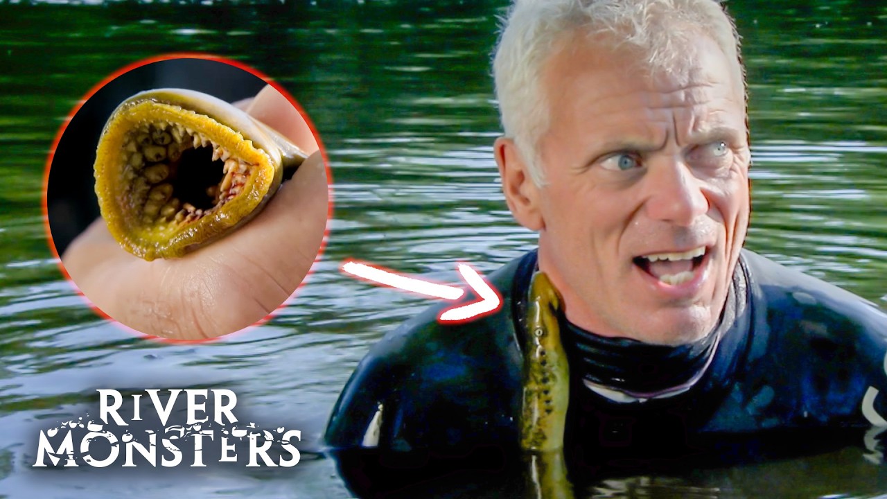 10 River Monsters Scarier Than Any Halloween Horror Movie - YouTube