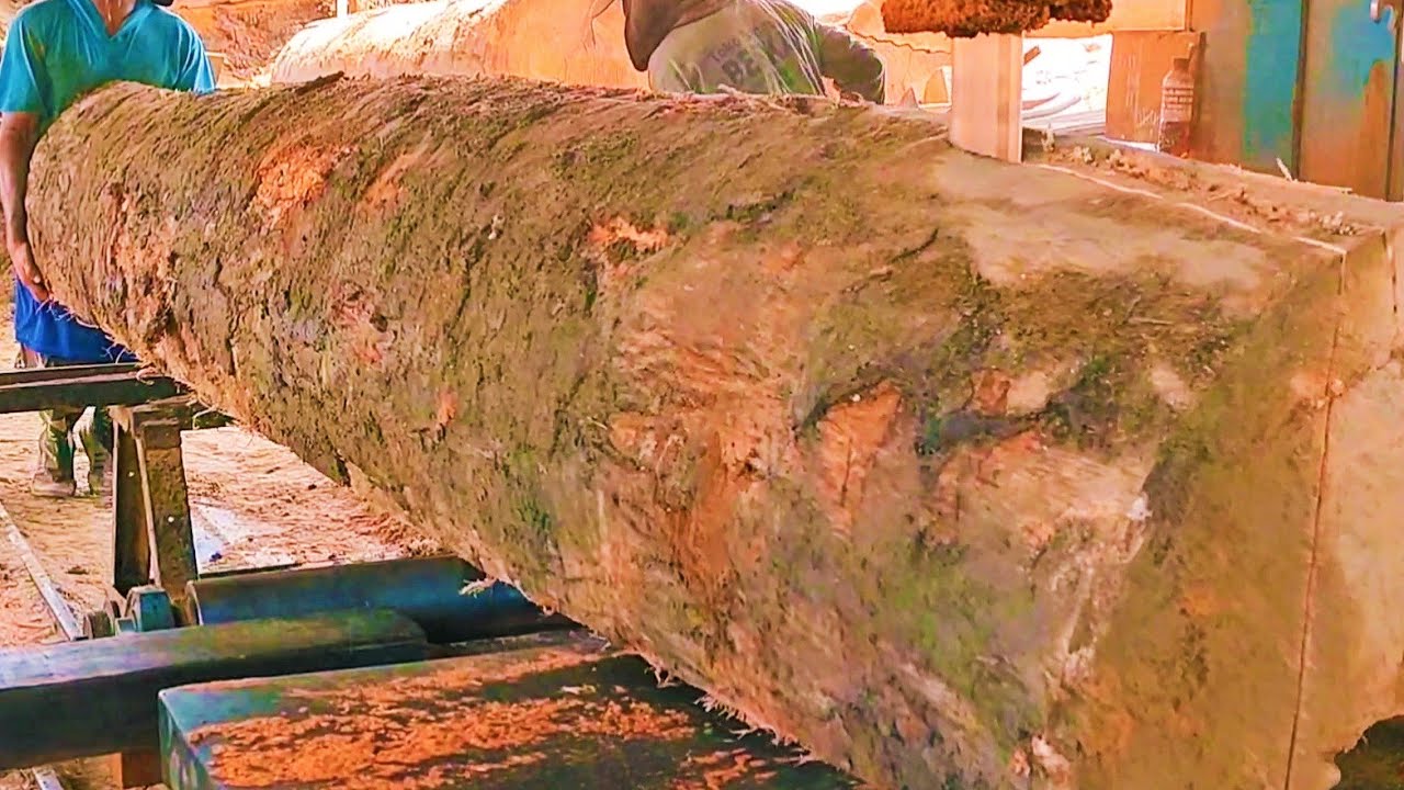 KAYU KEMPAS,,, proses penggergajian kayu kempas - YouTube