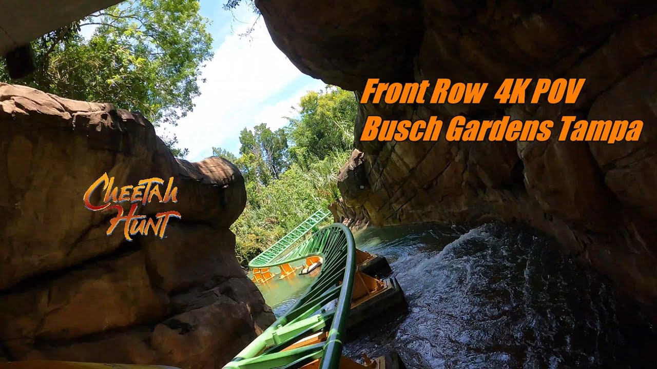 Cheetah Hunt Roller Coaster - Front Row POV - Busch Gardens Tampa in 4K ...