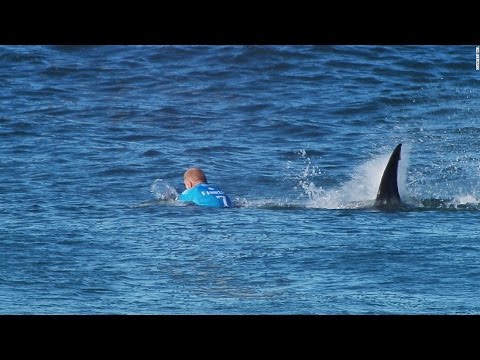 Mick Fanning word aangevallen door een witte haai - YouTube