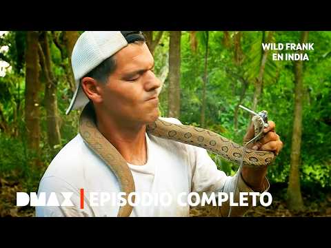 ⚠️ SERPIENTES MORTALES y TIGRES OCULTOS en los manglares más letales | Ep. 4 | Wild Frank en India
