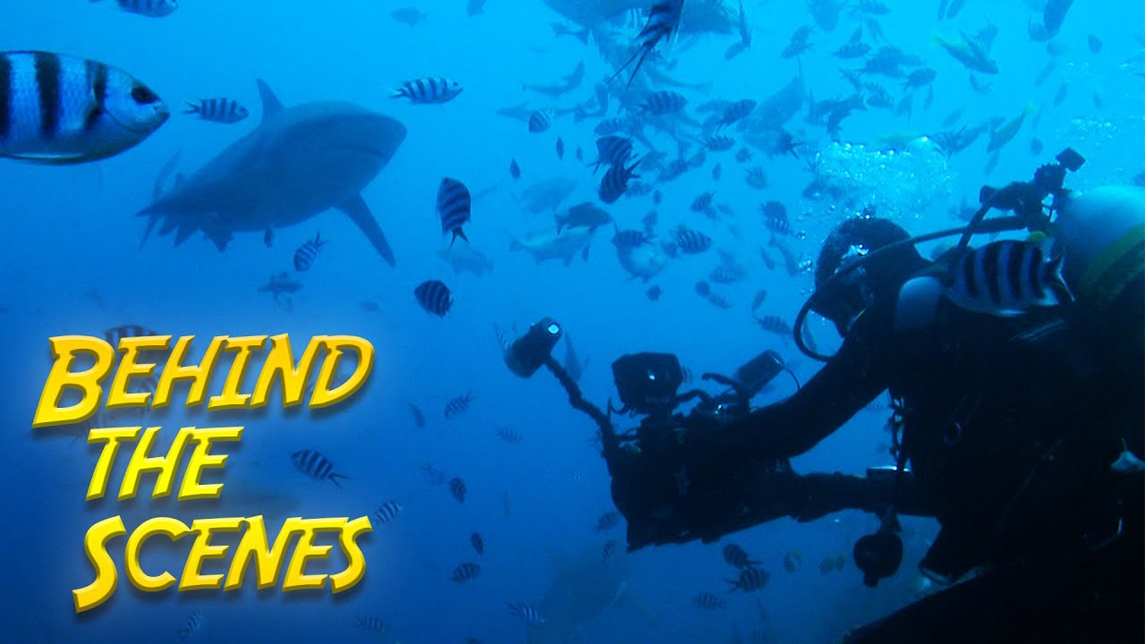 SECRETS OF THE SEA - Behind the Scenes - YouTube