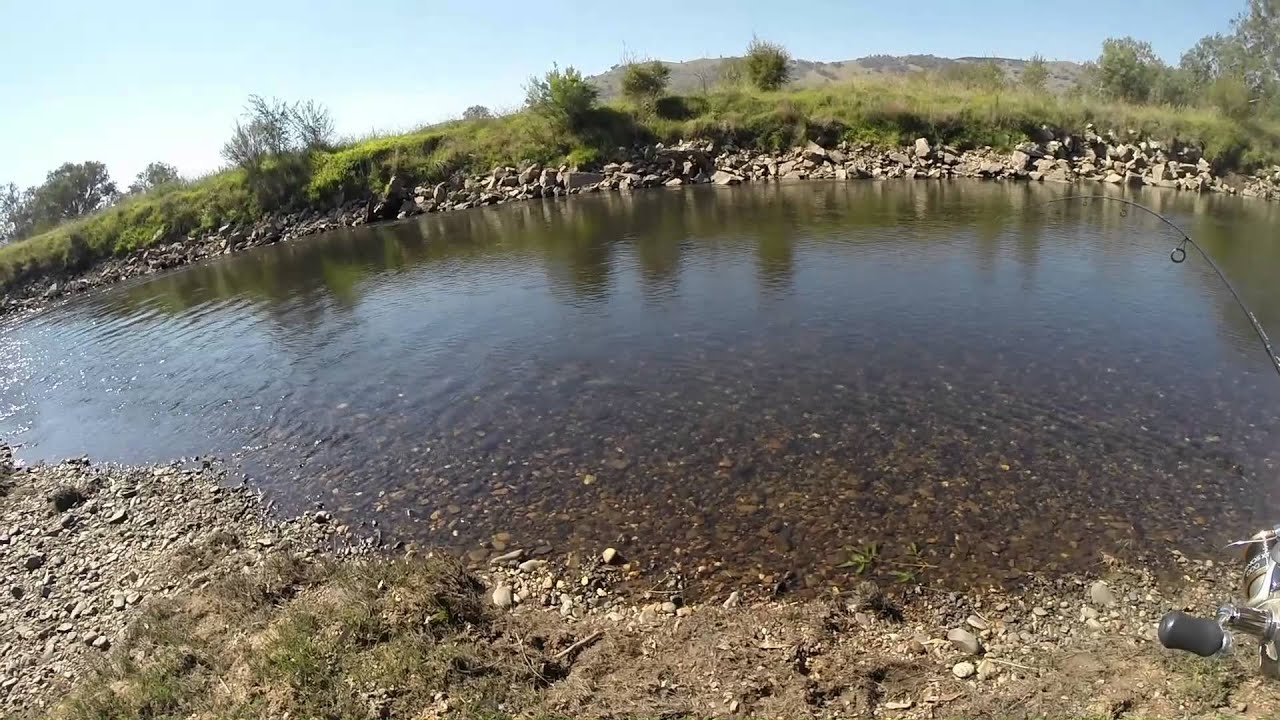 Mitta Trout Fishing - YouTube