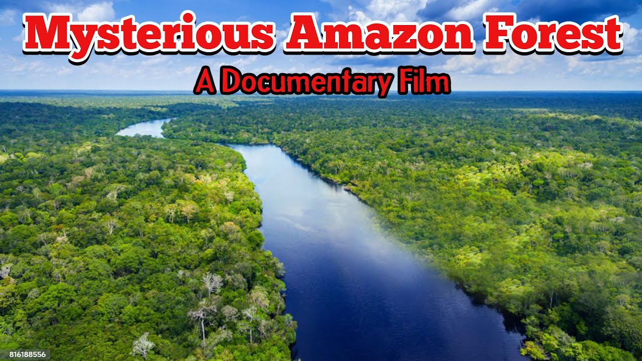Mysterious Amazon Forest ।। Documentary Flim 2025 ।। - YouTube