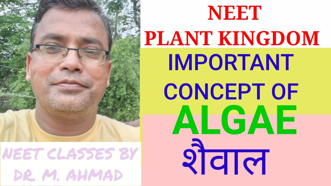 SHORT & IMPORTANT NOTES ON ALGAE (शैवाल) FOR NEET - YouTube