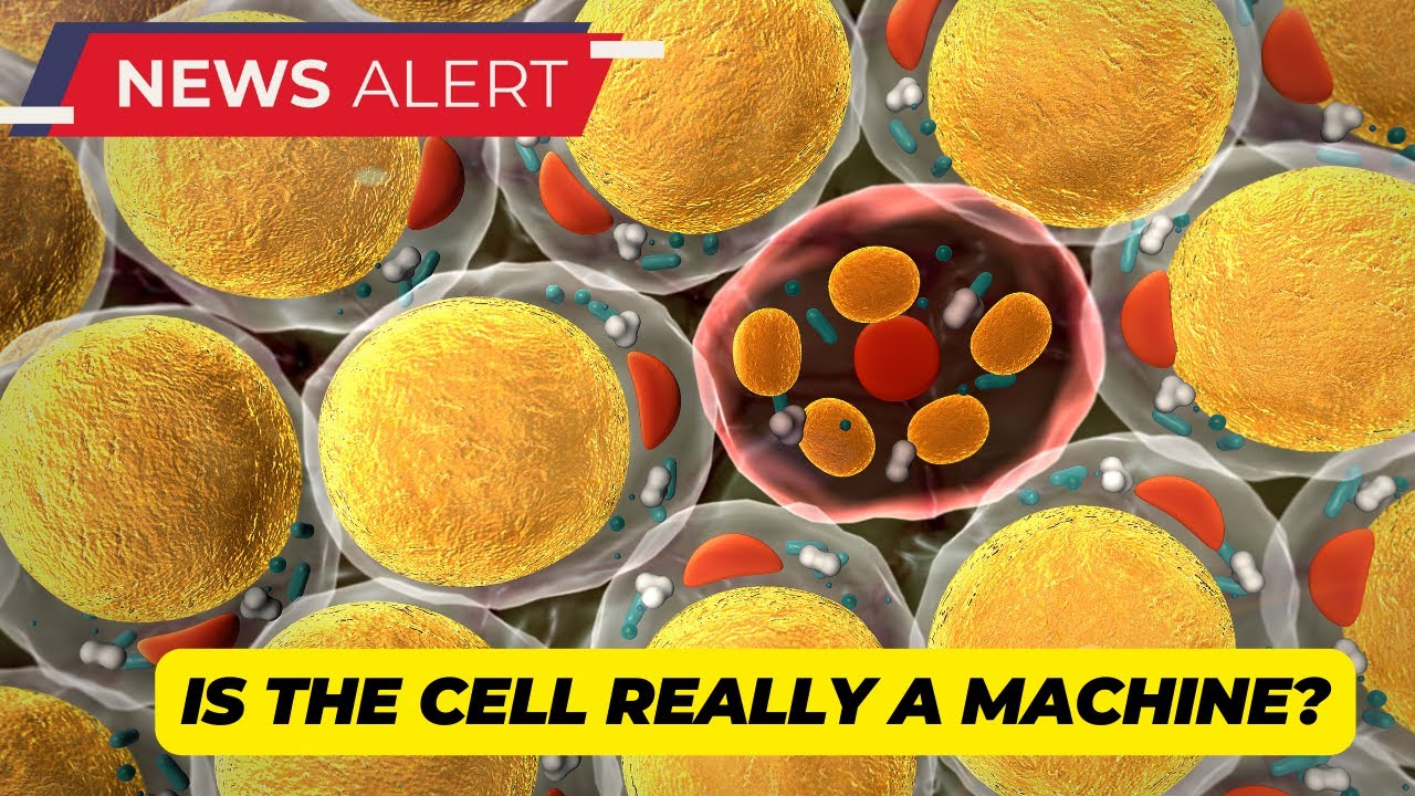 Are Cells Really Machines? - YouTube