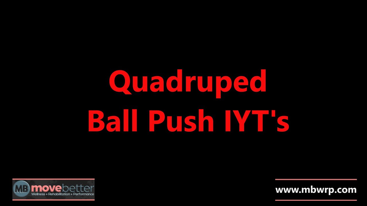 Quadruped Wall Push IYT's - YouTube