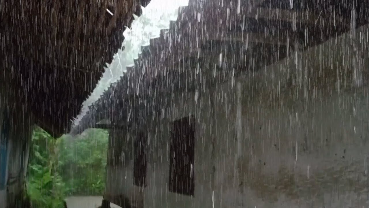 The sound of heavy rain is very effective for stress & tinnitus ...