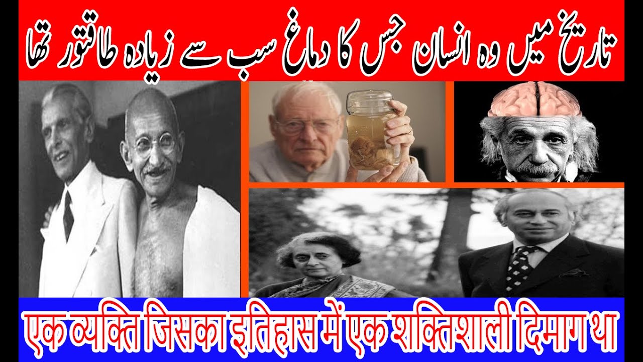 Most Powerful Brain In History | Super Human | Albert Einstein's Brain ...