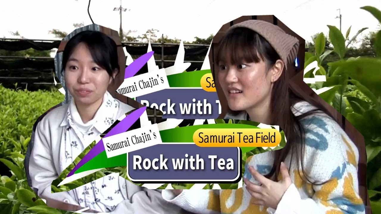 【Experience】Rock with Tea-Uji tea experience at Samurai Chajin - YouTube