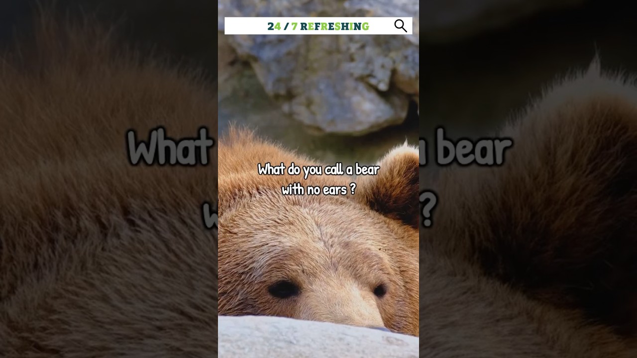 JOKE | What do you call a bear with no ears? #shorts #jokes #refreshing ...