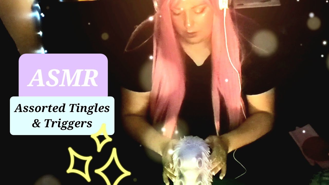 ASMR🪼 Assorted Triggers | Whispering | Soundscape & Layered Sounds | - YouTube