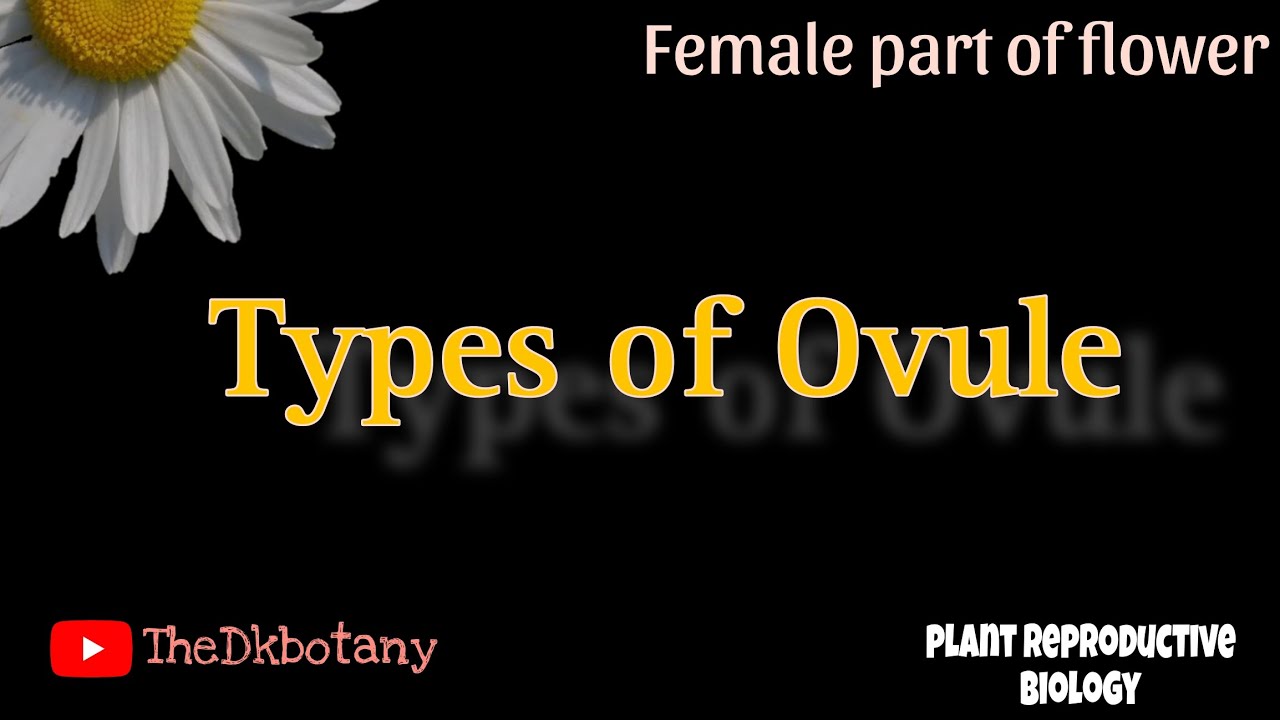 Types of Ovule l orthotropous ,anatropous ovule l Female part of flower ...