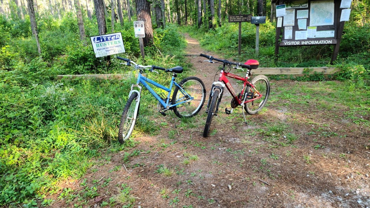 Swamp Fox Passage bike ride on the Palmetto Trail - YouTube